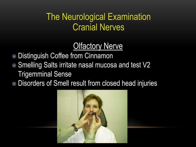 neurological examination ppt | PPTX | Brain and Nervous System ...
