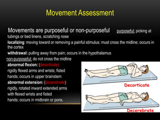 neurological examination ppt | PPTX