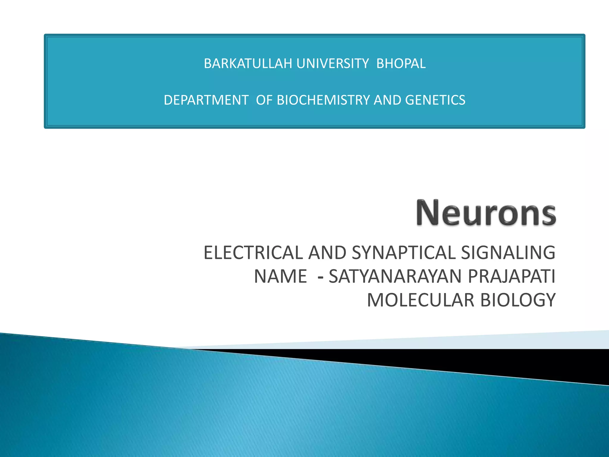 neural signaling and electricl pathway | PPTX
