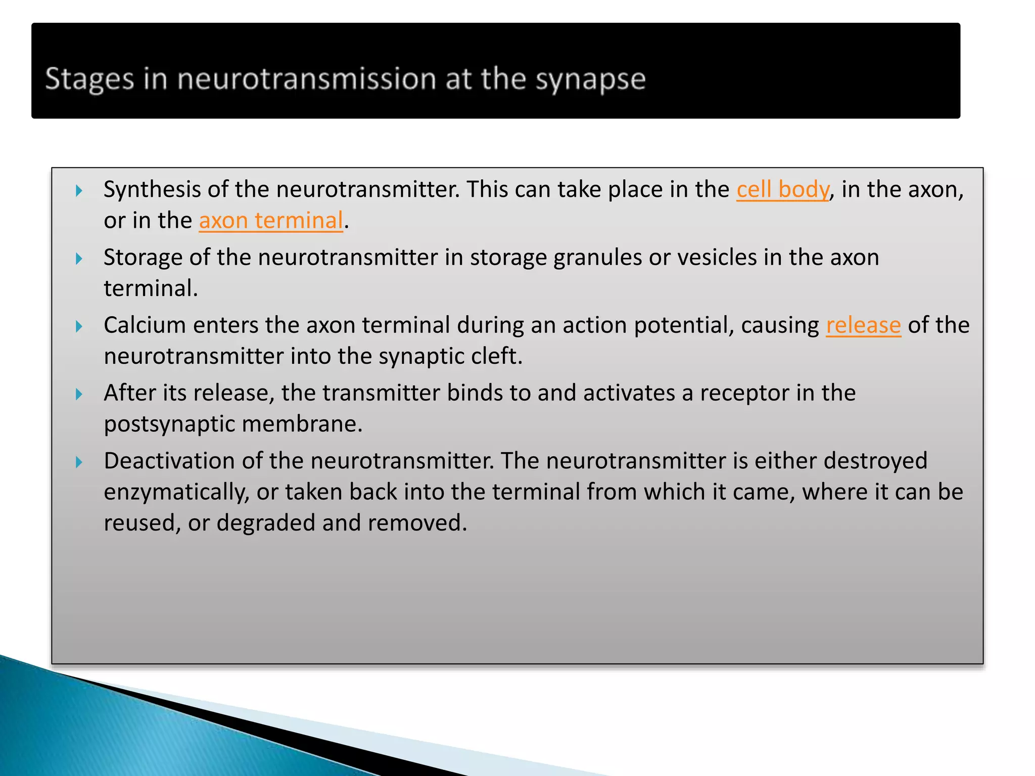 Neural Signaling And Electricl Pathway Pptx
