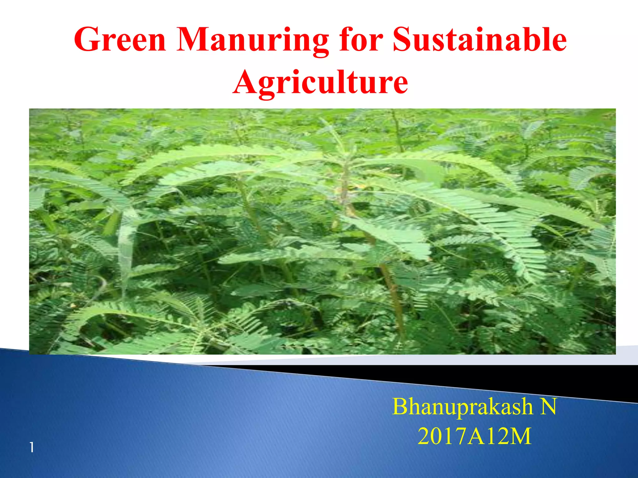 Green manuring | PPTX