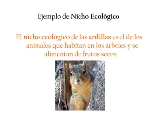 Ppt nicho eco.. | PPT