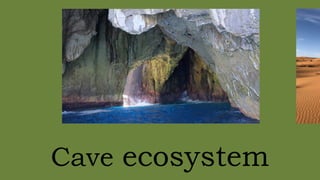 TYPES OF ECOSYSTEM POWERPOINT PRESENTATION | PPTX