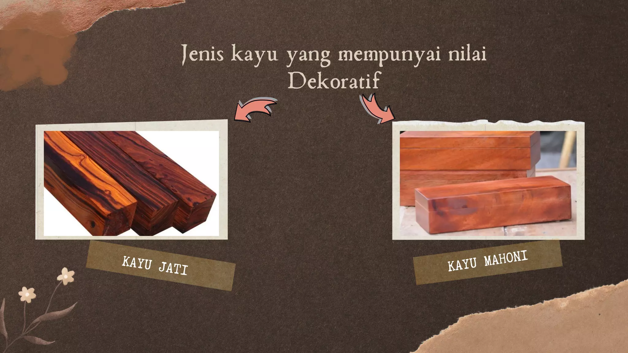 Ppt Nilai Dekoratif Kayu_Monika restiana_B reg b_14.pdf