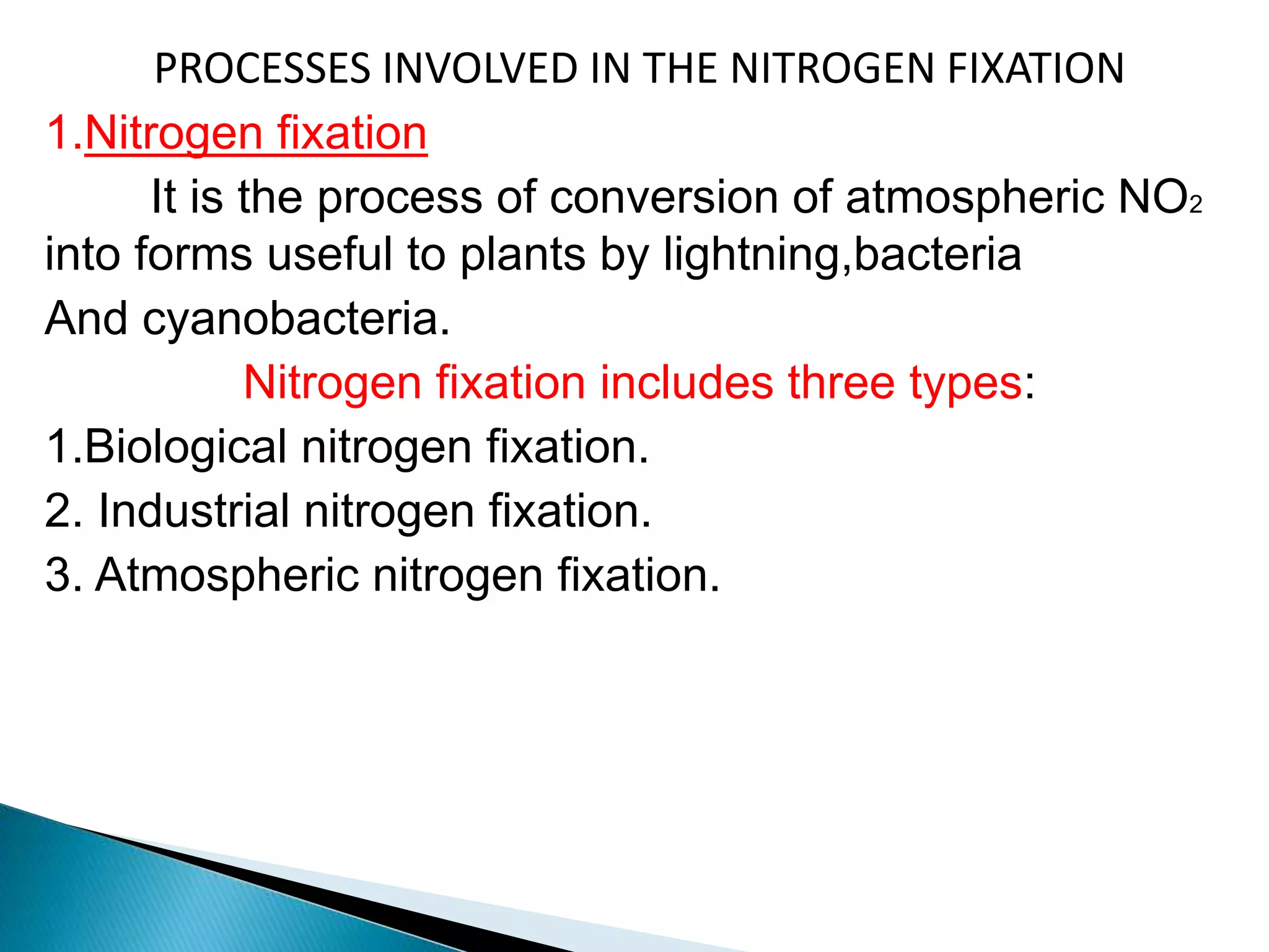 Ppt nitrogen cycle | PPTX | Chemistry | Science