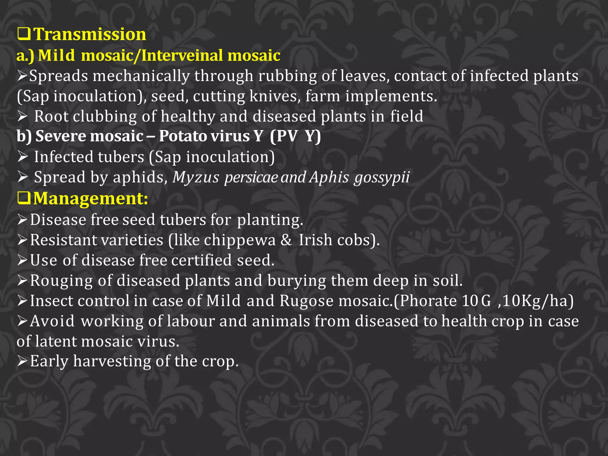 Diseases of Potato | PPTX