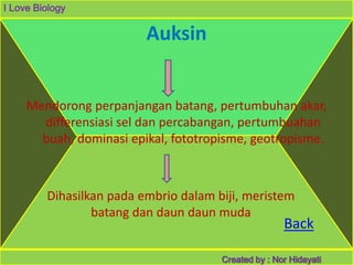Ppt Pertumbuhan dan Perkembangan Tumbuhan by Nor hidayati | PPTX