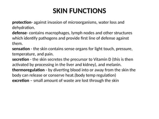 interegumentary ppt notes about the skin, it's functions and ...