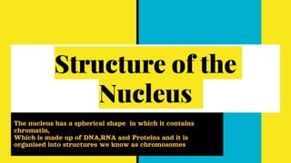 _ppt nucleus .pptx
