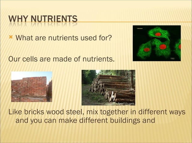 Ppt Nutrient Cycles | PPT