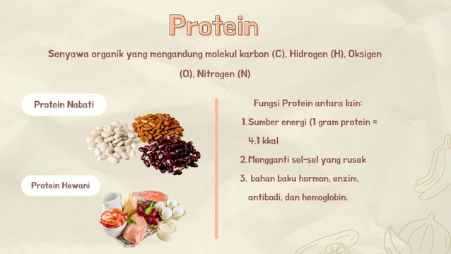 PPT Sistem Pencernaan sub bab materi Nutrisi .pdf