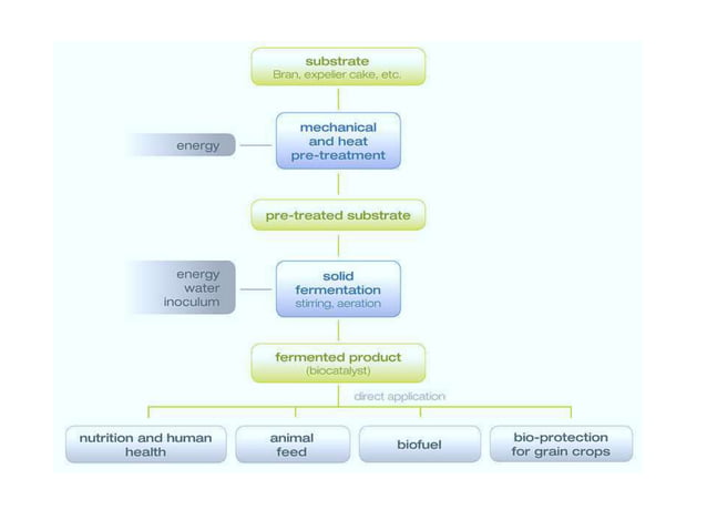 FERMENTATION TYPES . | PPTX | Chemistry | Science