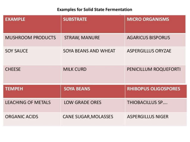 FERMENTATION TYPES . | PPTX | Chemistry | Science