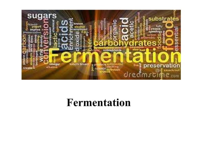 FERMENTATION TYPES . | PPTX | Chemistry | Science