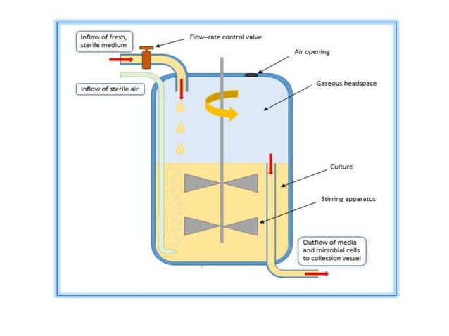 FERMENTATION TYPES . | PPTX | Chemistry | Science
