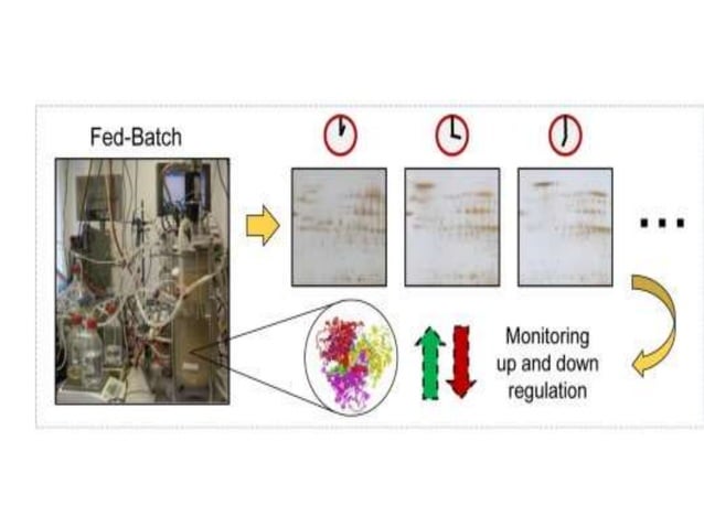 FERMENTATION TYPES . | PPTX | Chemistry | Science