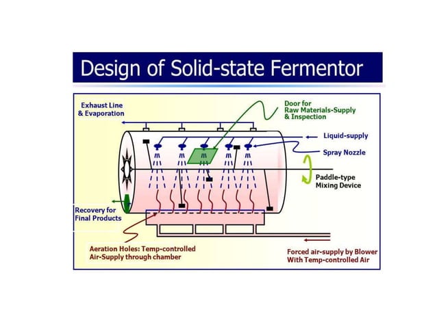 FERMENTATION TYPES . | PPTX | Chemistry | Science