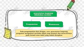 PPT Observasi PMM Matematika Kelas 5.pptx