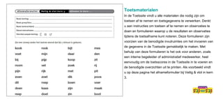Toetssite Veilig stap voor stap | PPT