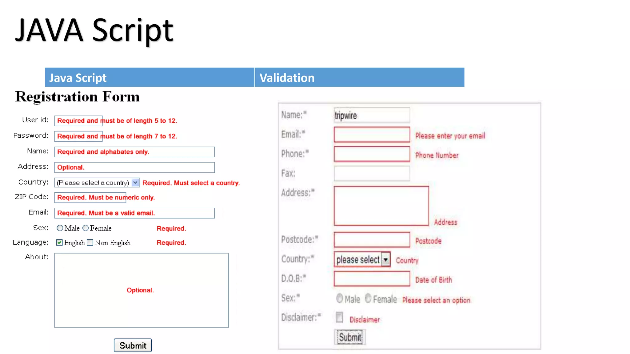 Web Technology | PPTX