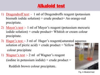 EXTRACTION AND IDENTIFICATION OF PHYTOCHEMICAL CONSTITUENT OF ...