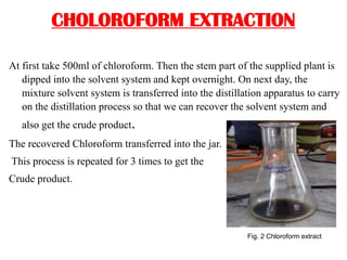 EXTRACTION AND IDENTIFICATION OF PHYTOCHEMICAL CONSTITUENT OF ...