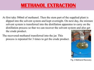 EXTRACTION AND IDENTIFICATION OF PHYTOCHEMICAL CONSTITUENT OF ...