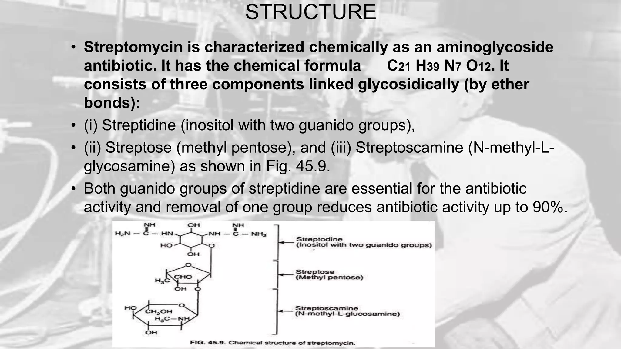 STREPTOMYCIN | PPSX