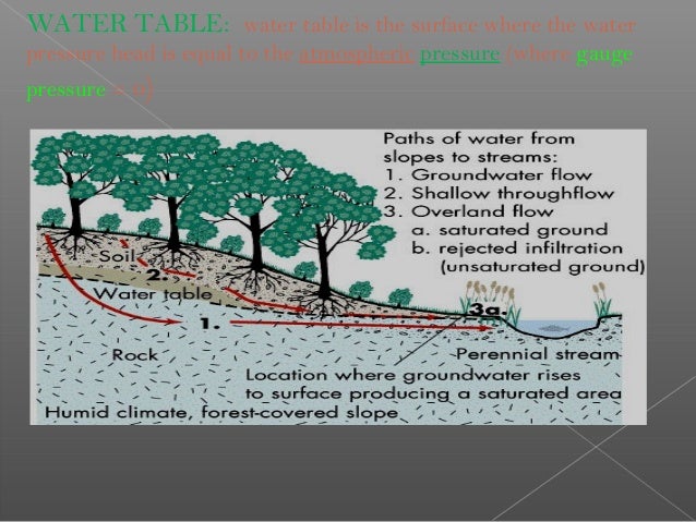 rk Effect of water table on soil During construction
