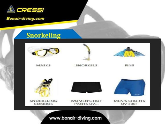 Scuba Dive Computer | PPTX