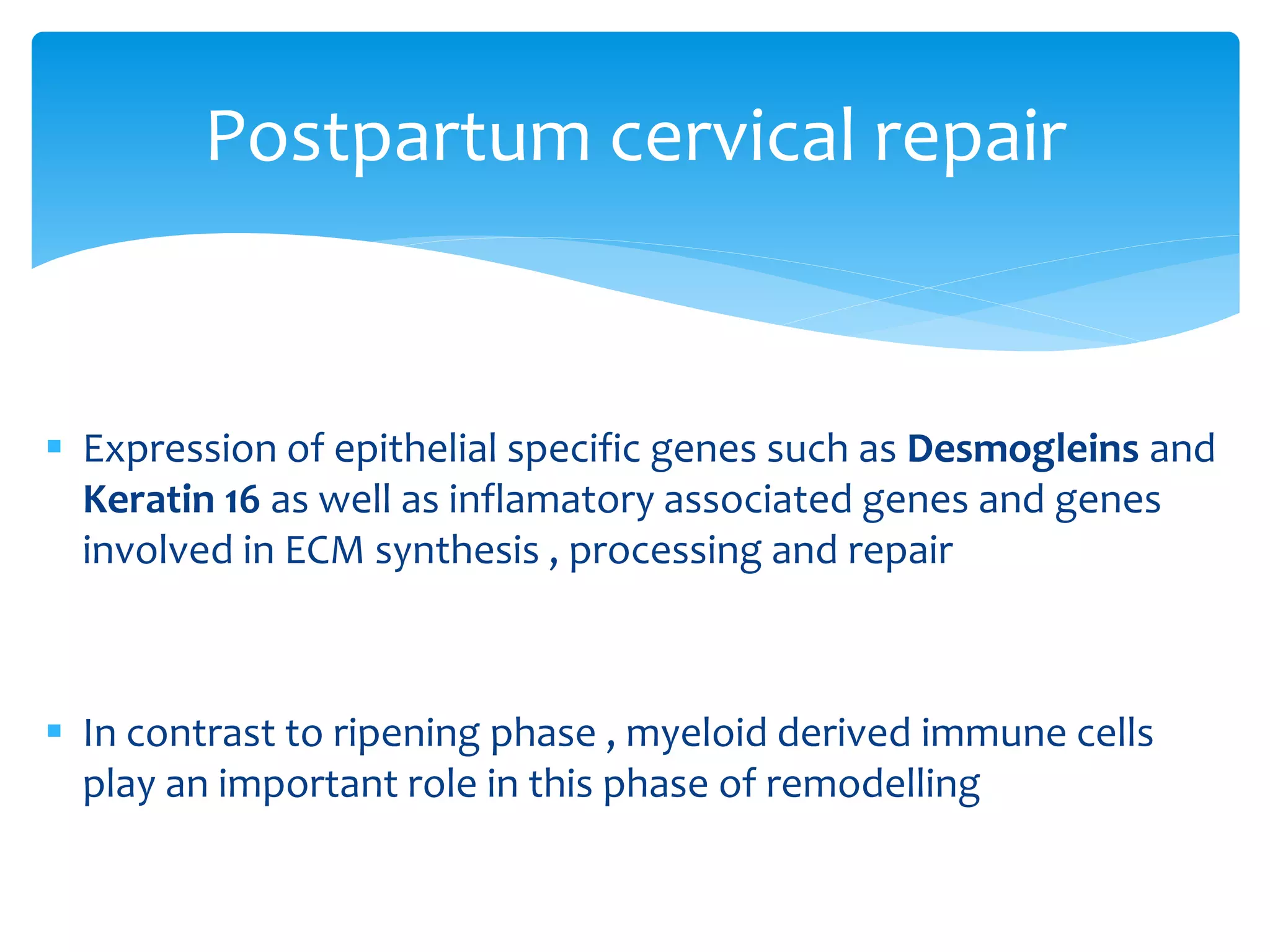 Molecular Mechanism of Cervical Ripening | PPT