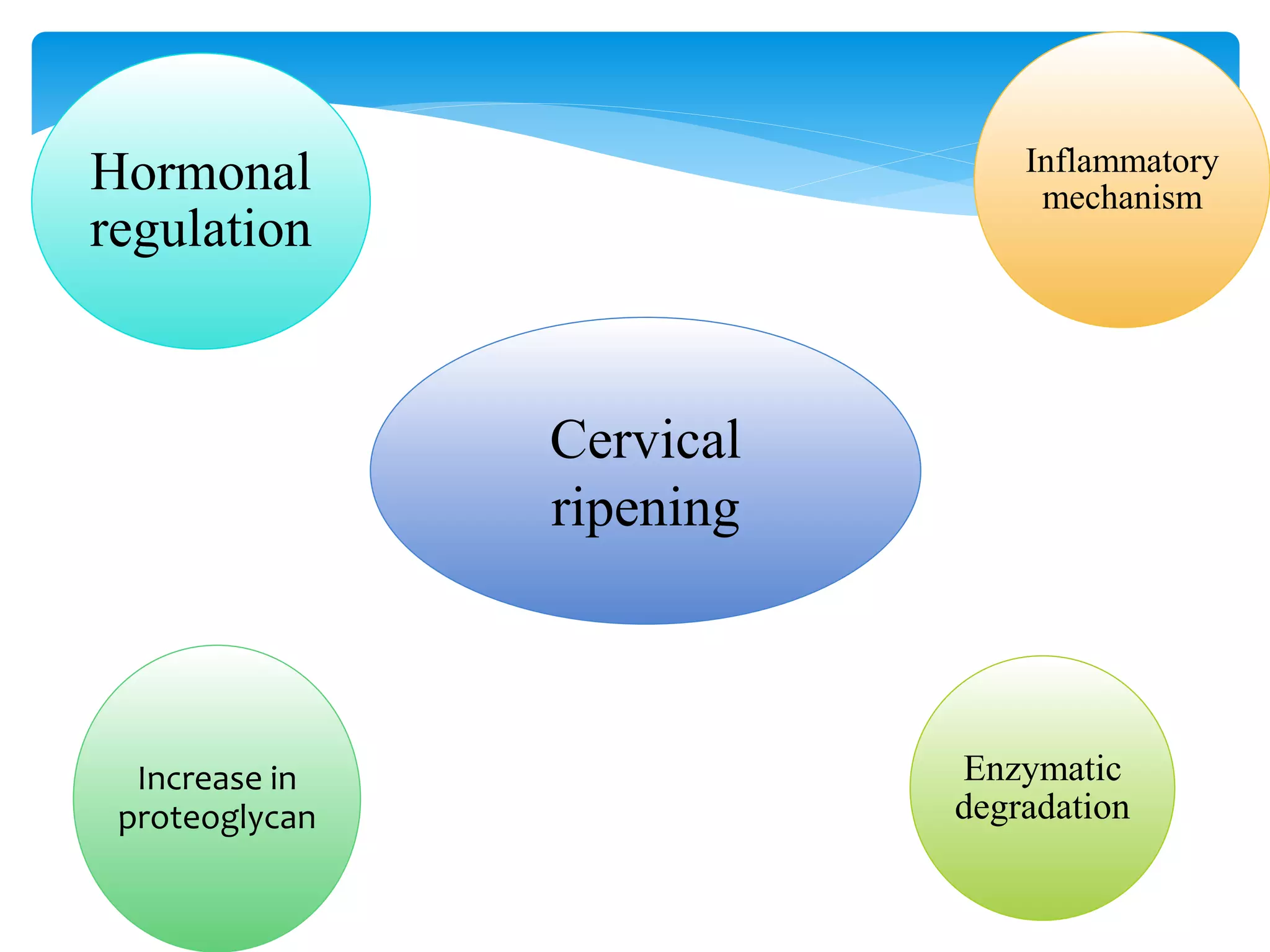 Molecular Mechanism of Cervical Ripening | PPT