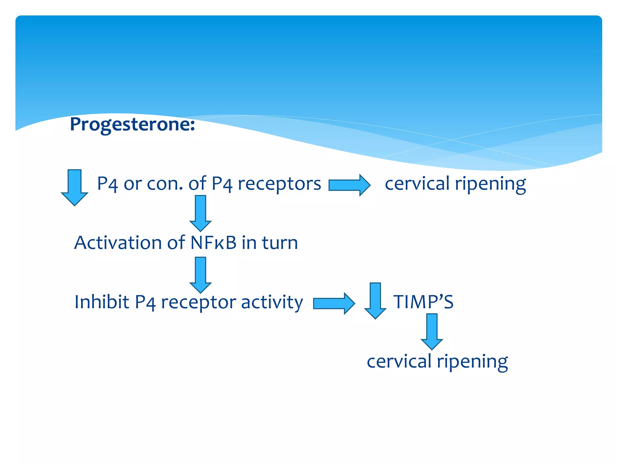 Molecular Mechanism of Cervical Ripening | PPT