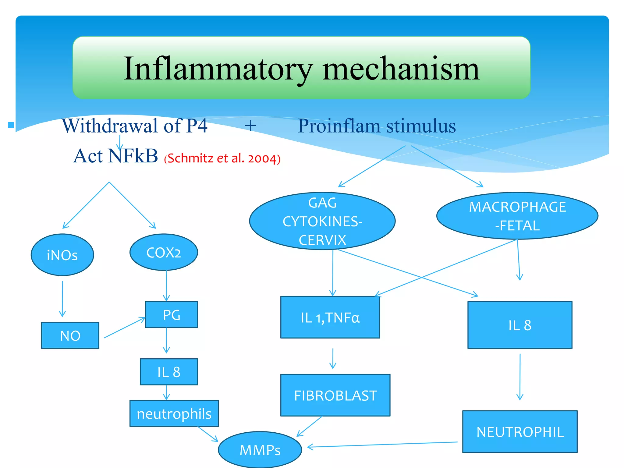 Molecular Mechanism of Cervical Ripening | PPT