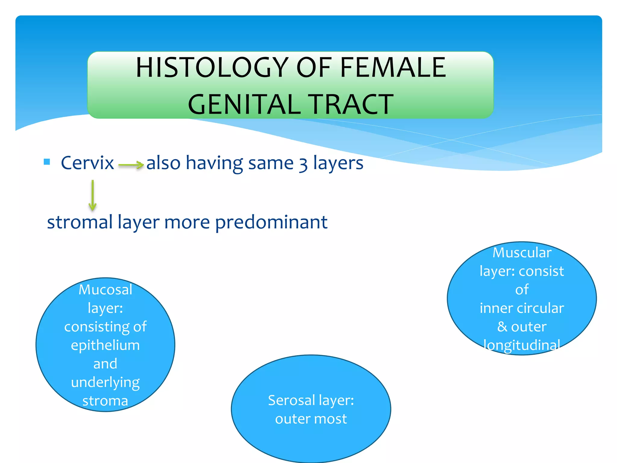 Molecular Mechanism of Cervical Ripening | PPT