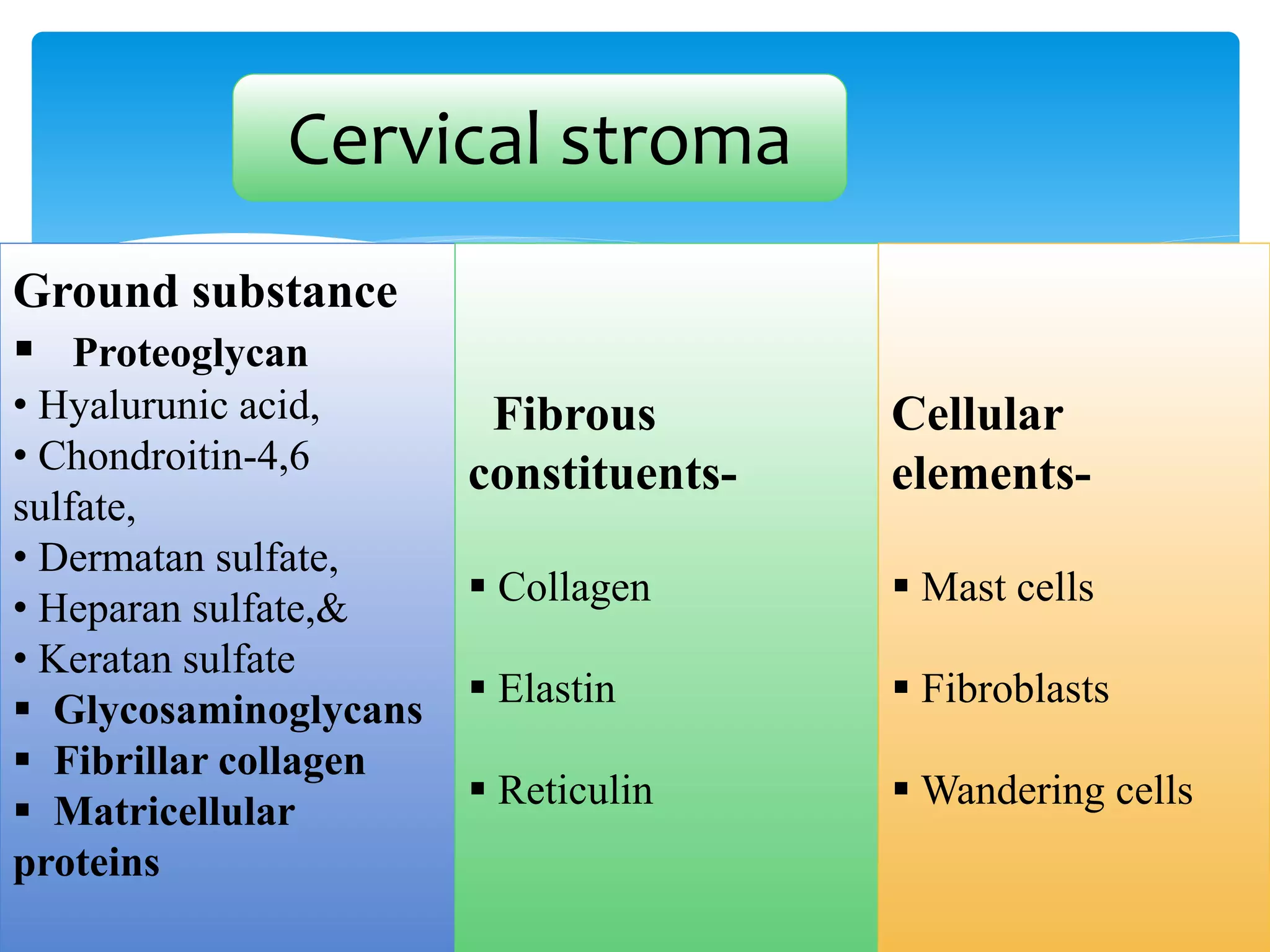Molecular Mechanism of Cervical Ripening | PPT