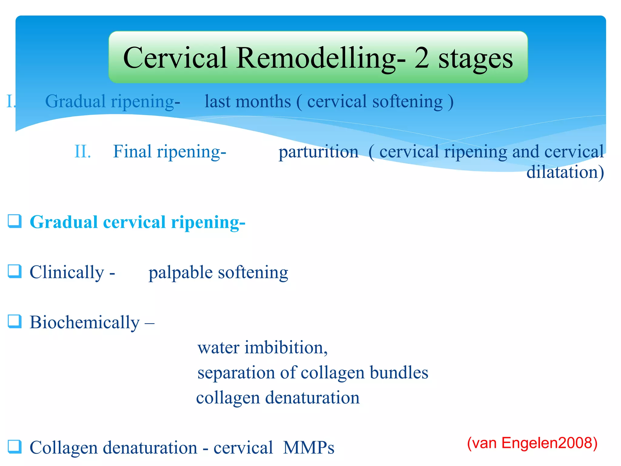 Molecular Mechanism of Cervical Ripening | PPT
