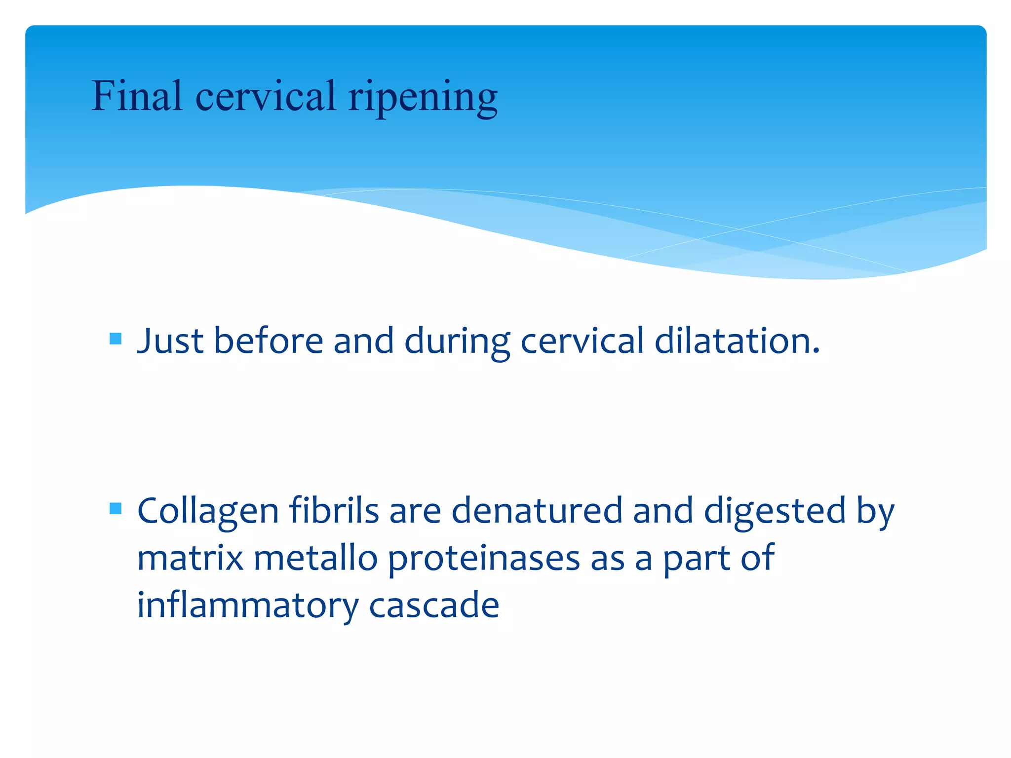 Molecular Mechanism of Cervical Ripening | PPT