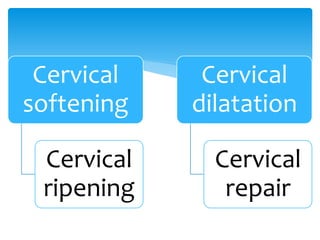 Molecular Mechanism of Cervical Ripening | PPT