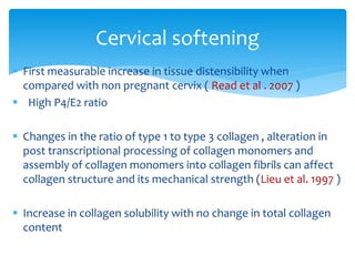 Molecular Mechanism of Cervical Ripening | PPT