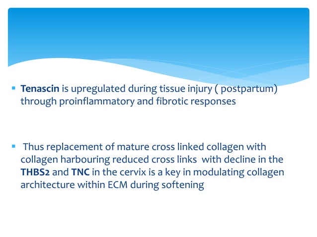 Molecular Mechanism of Cervical Ripening | PPT