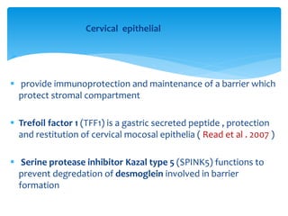 Molecular Mechanism of Cervical Ripening | PPT