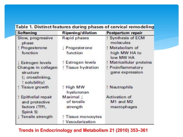 Molecular Mechanism of Cervical Ripening | PPT