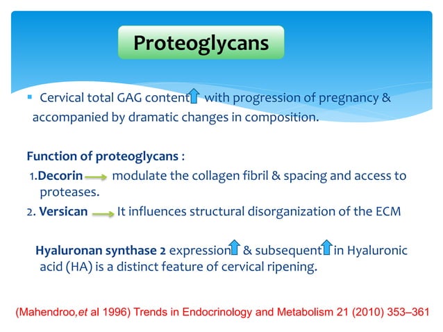 Molecular Mechanism of Cervical Ripening | PPT