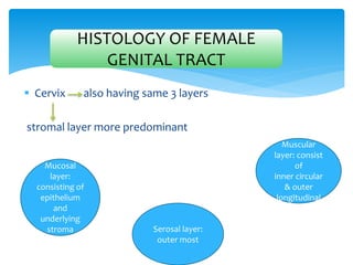 Molecular Mechanism of Cervical Ripening | PPT