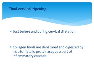 Molecular Mechanism of Cervical Ripening | PPT