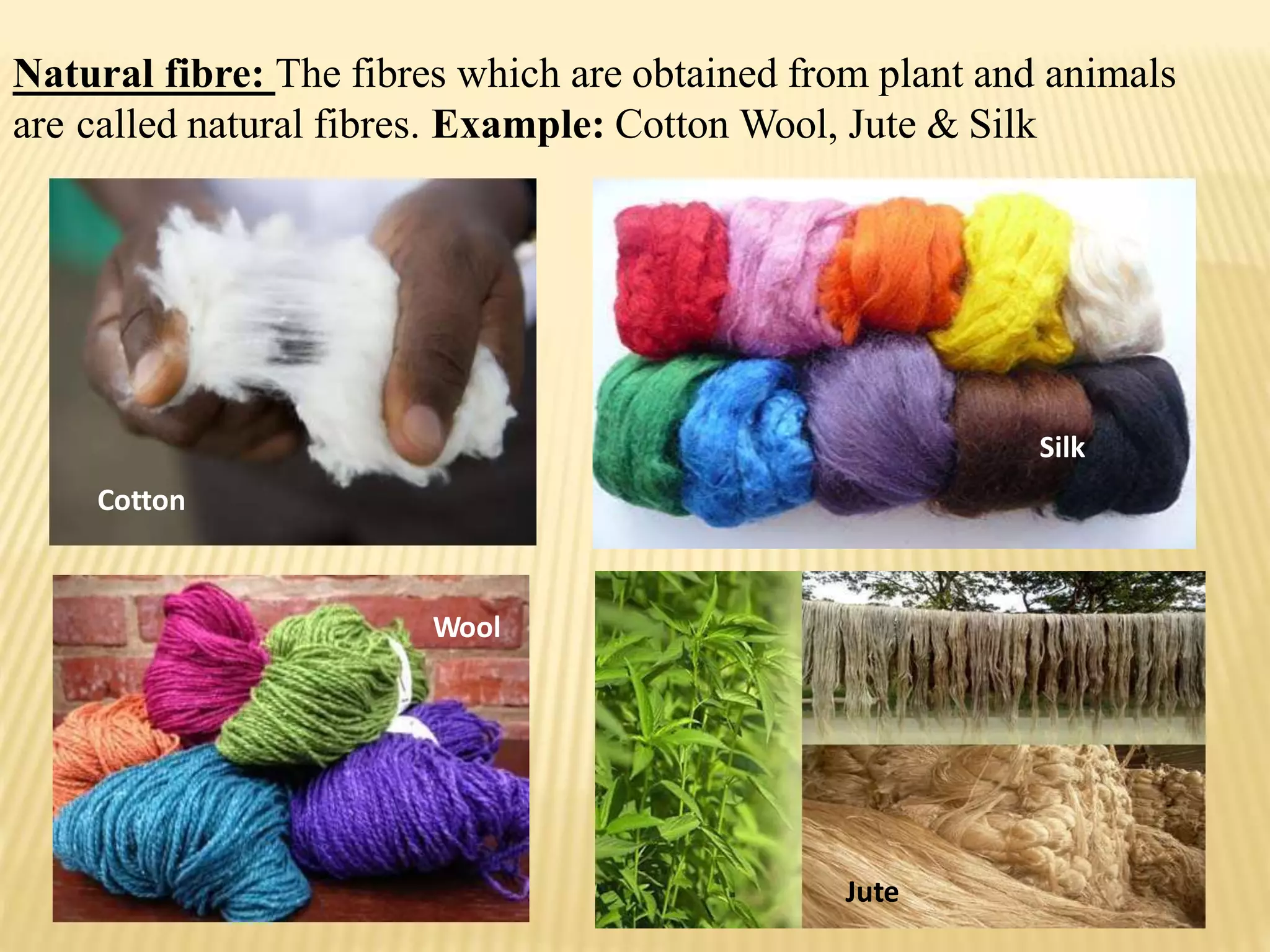Fibre to fabric of class 6 | PPTX