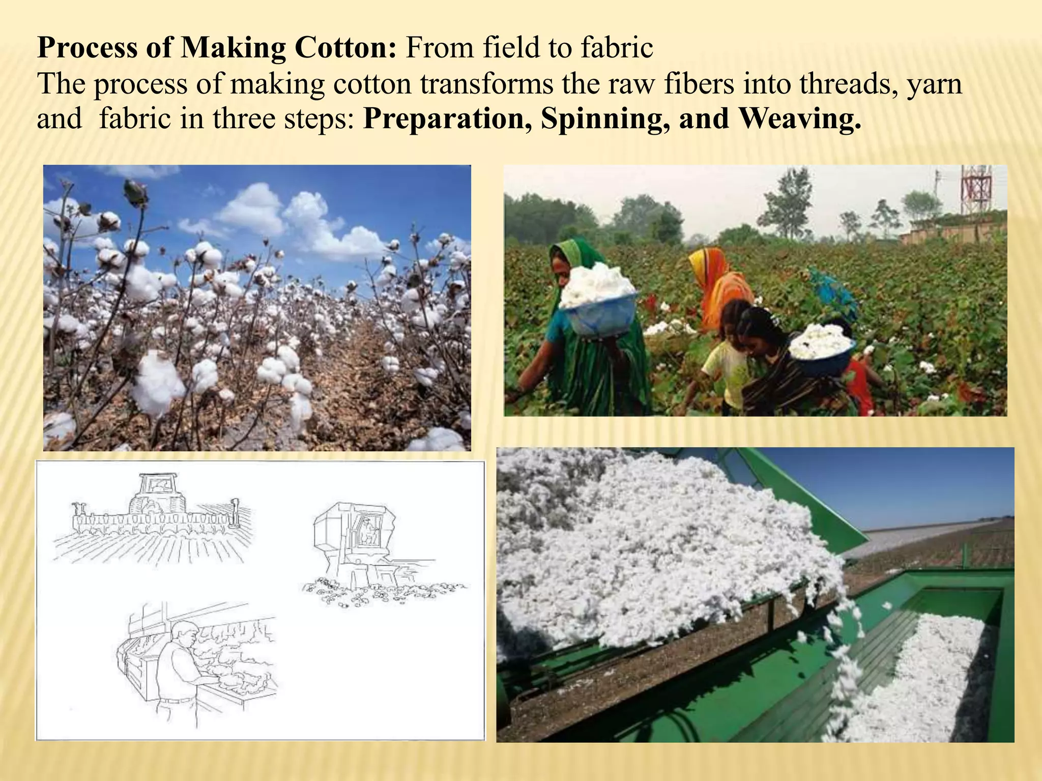 Fibre to fabric of class 6 | PPTX