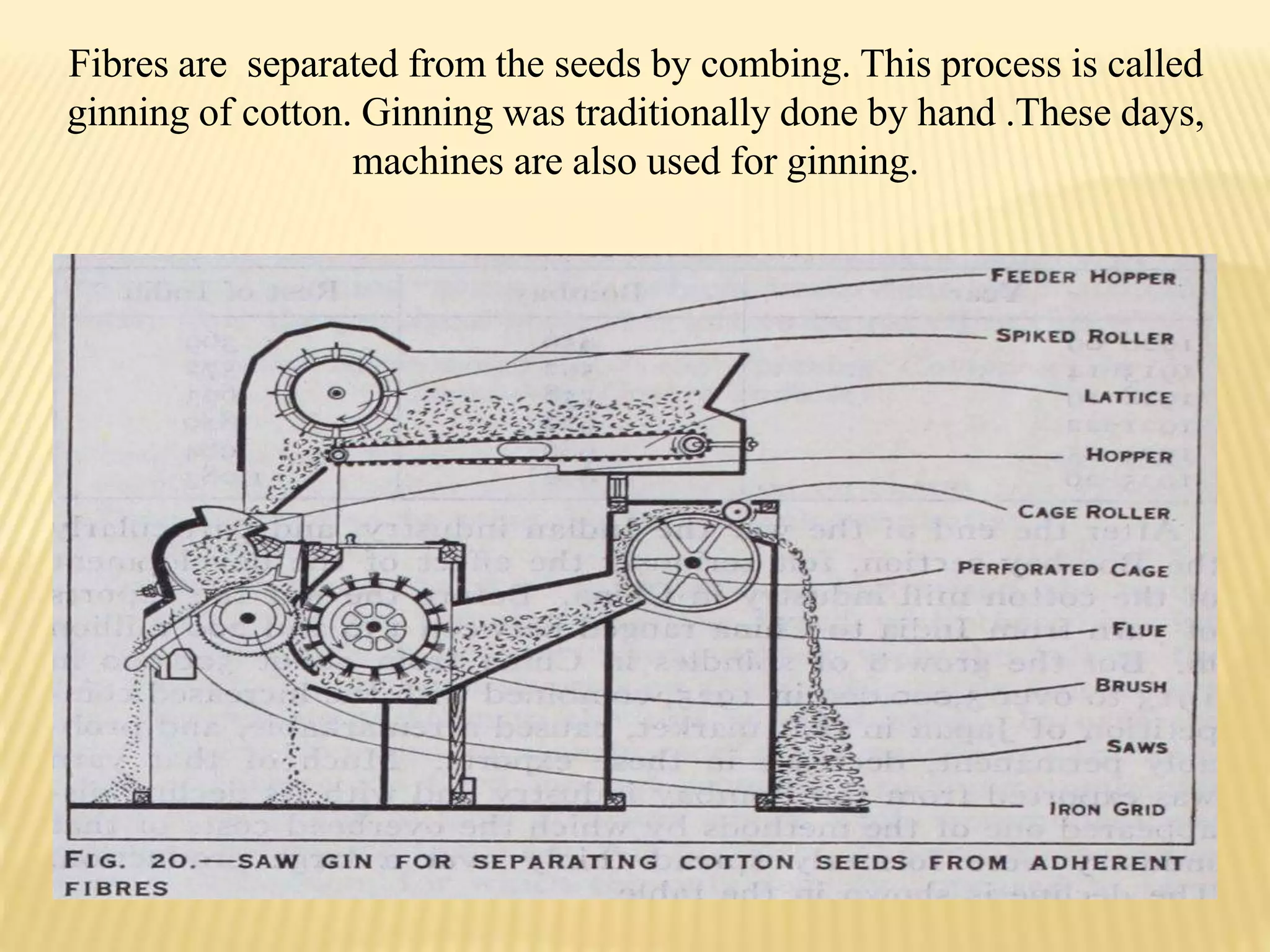 Fibre to fabric of class 6 | PPTX