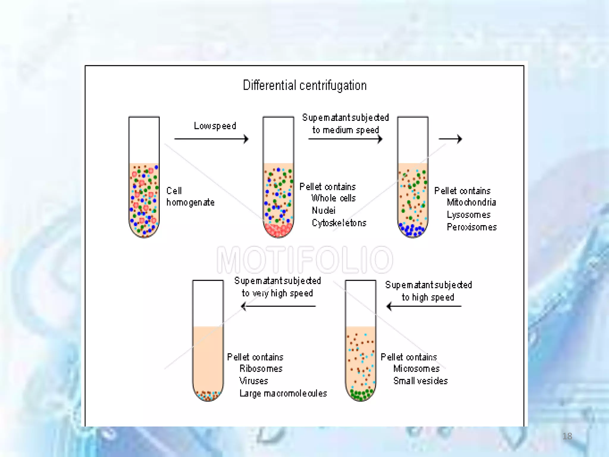 Ppt of centrifugation | PPTX